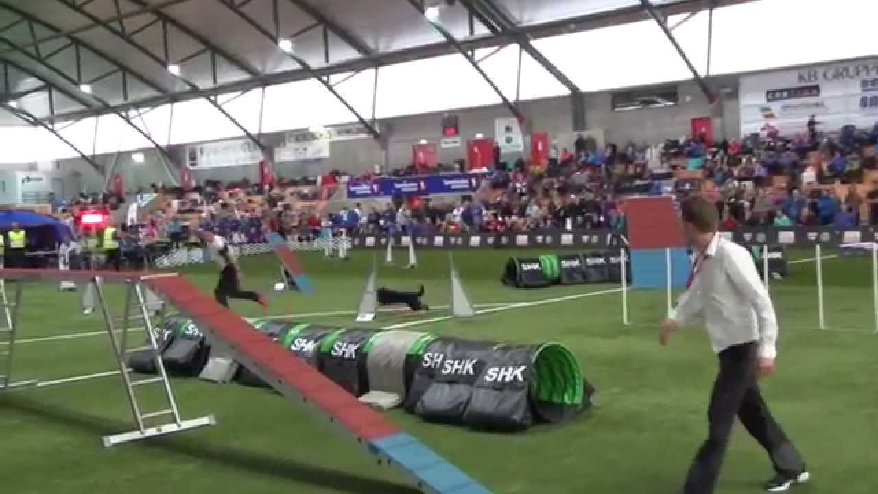 Norwegian Open Final 2014 Thomas Thiesen - YouTube