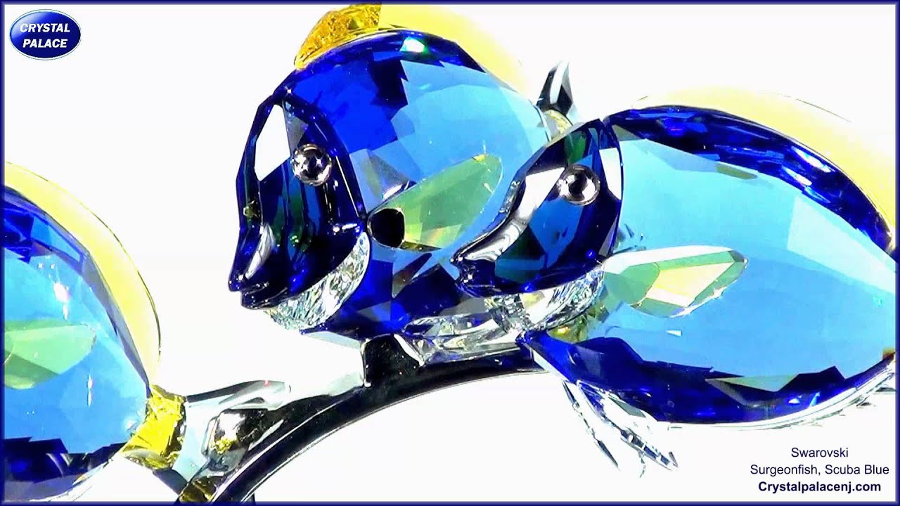 Swarovski Surgeonfish Scuba Blue at Crystal Palace HD - YouTube