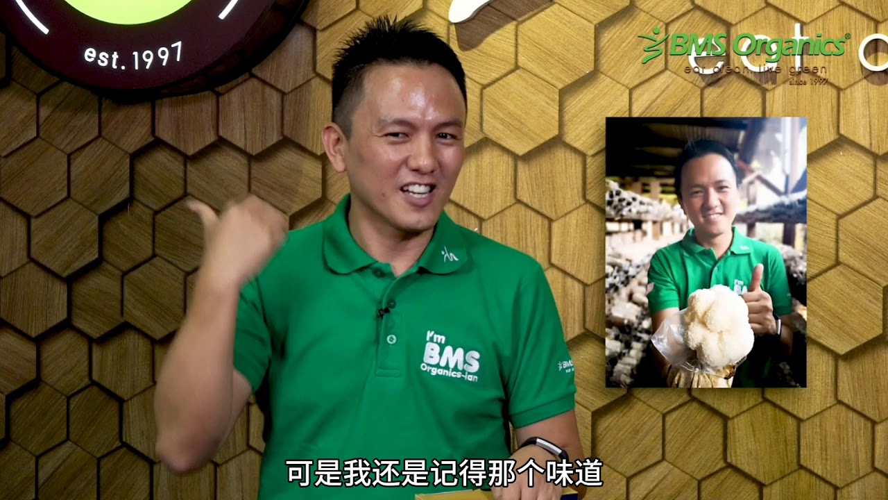 BMS Organics (蔬事) 总裁Mr Terry Lee 解说猴头菇精开发初衷 - YouTube