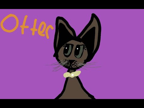 WCUE fun! | Check Description - YouTube