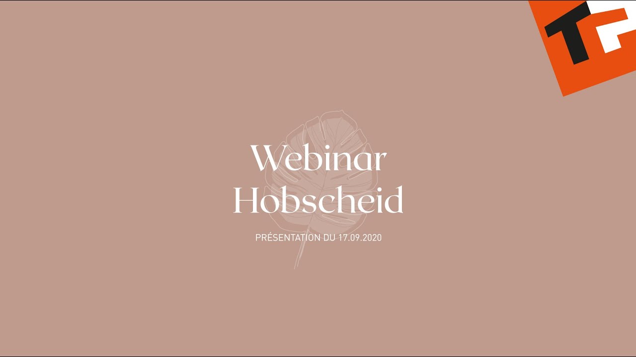 🖥️ Revivez le webinar de notre projet à Hobscheid 🖥️ - YouTube