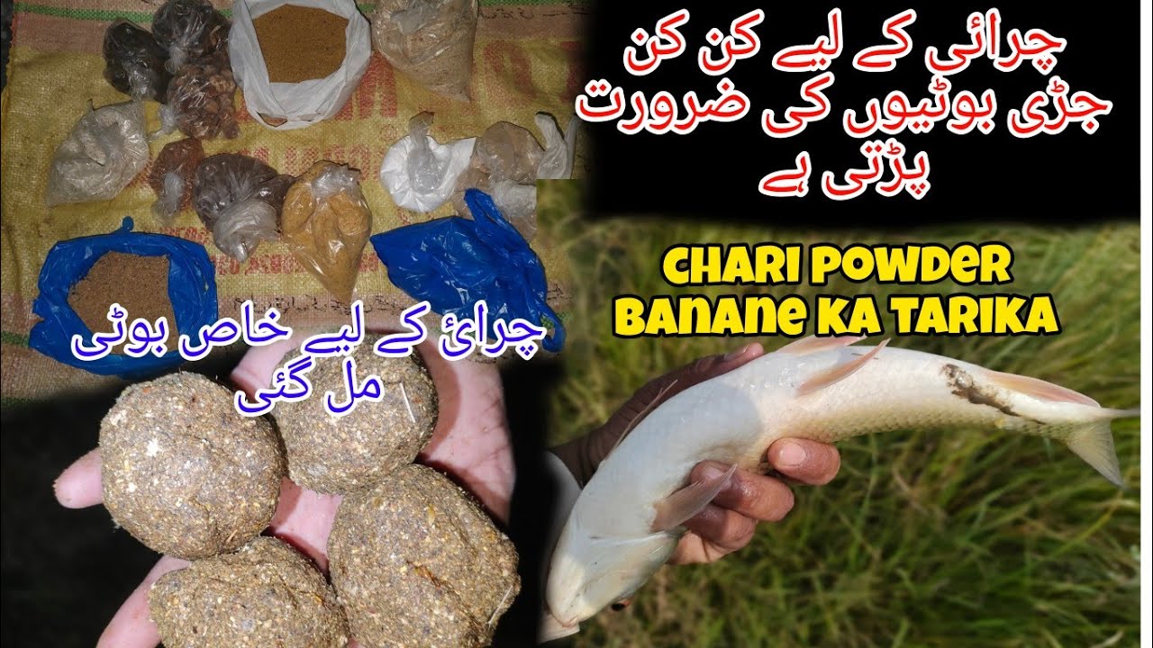 Homemade chari bite | charai ke khas butiya mil gai | chari banane ka ...
