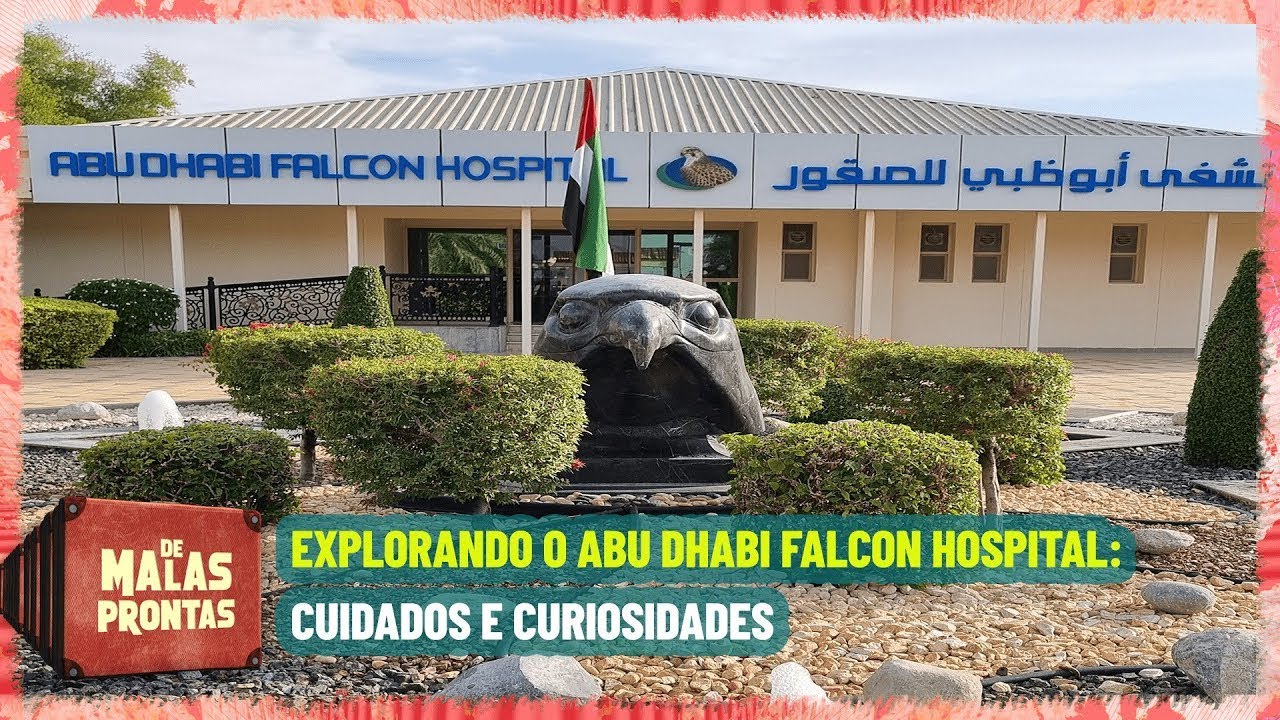 Explorando o Abu Dhabi Falcon Hospital: cuidados e curiosidades - YouTube