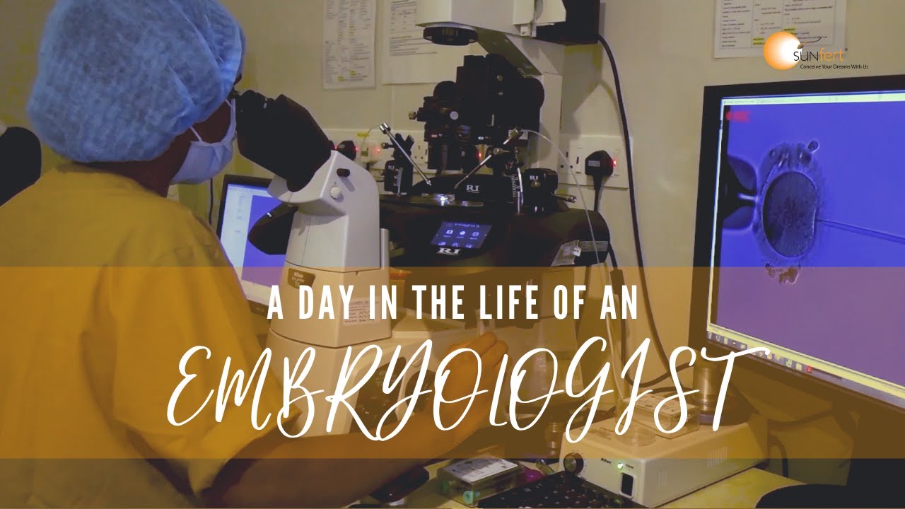 A Day in the Life of an Embryologist - YouTube