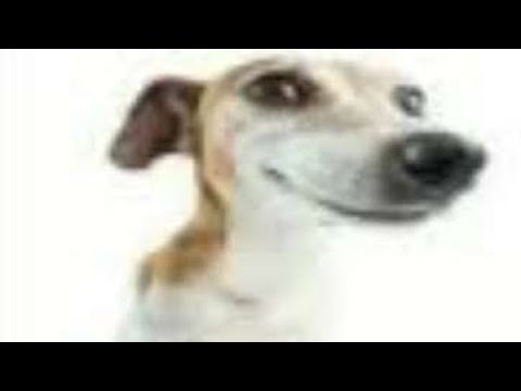 Goofy ahh discord sound💀 - YouTube