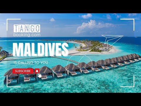 🌊 Maldives is Calling | Your Private Paradise Awaits | Tango Booking