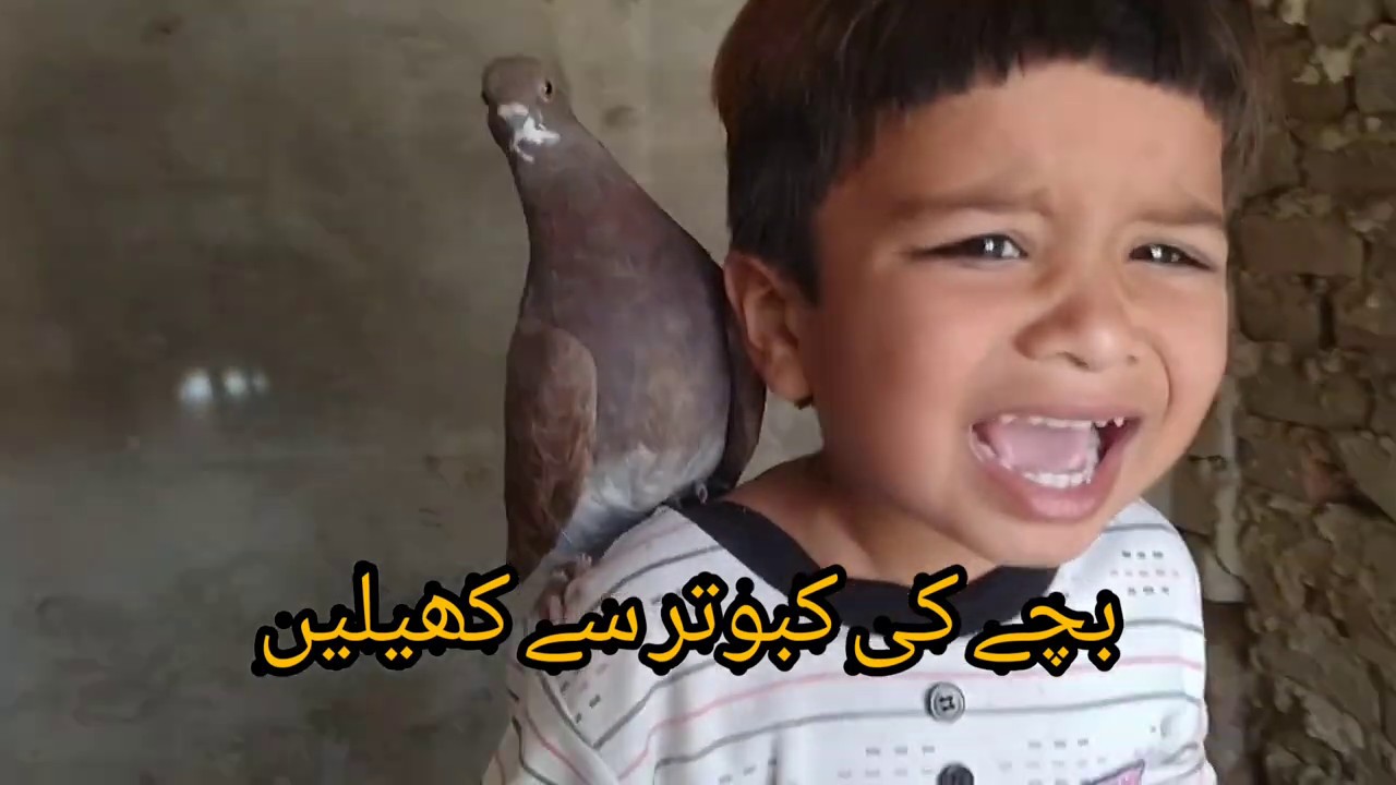 Child baby play with piggen#piggen# 🐦 - YouTube