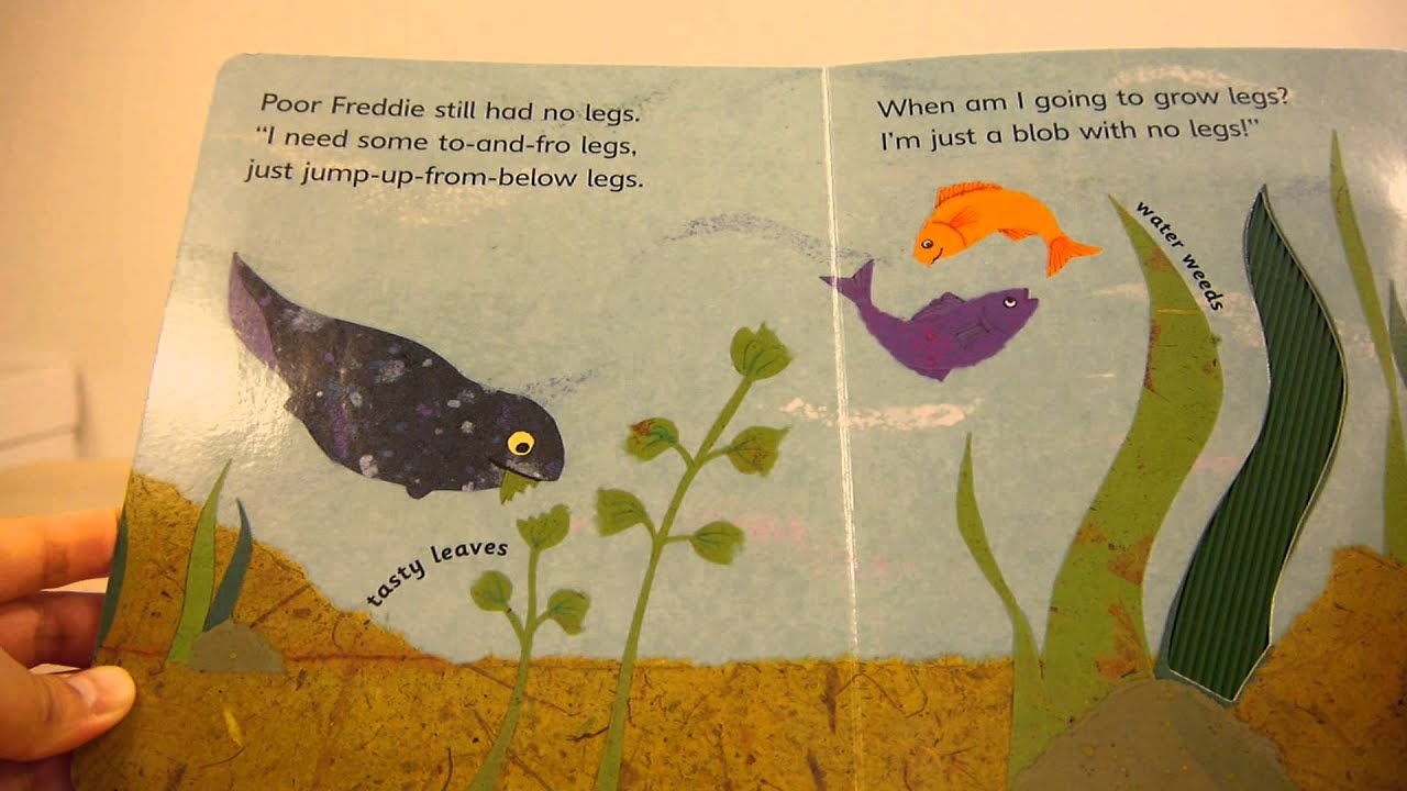 The Tiny Tadpole - YouTube