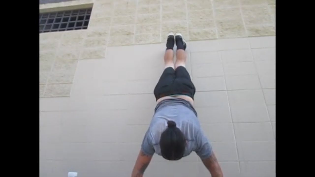 HANDSTAND TRAINING/EXERCISE| PLUS PULL UPS- #motivation - YouTube