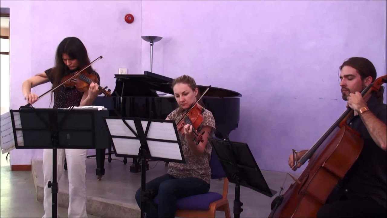 I-Strings Themes from The Godfather, Arr. by Vira Burmenko - YouTube