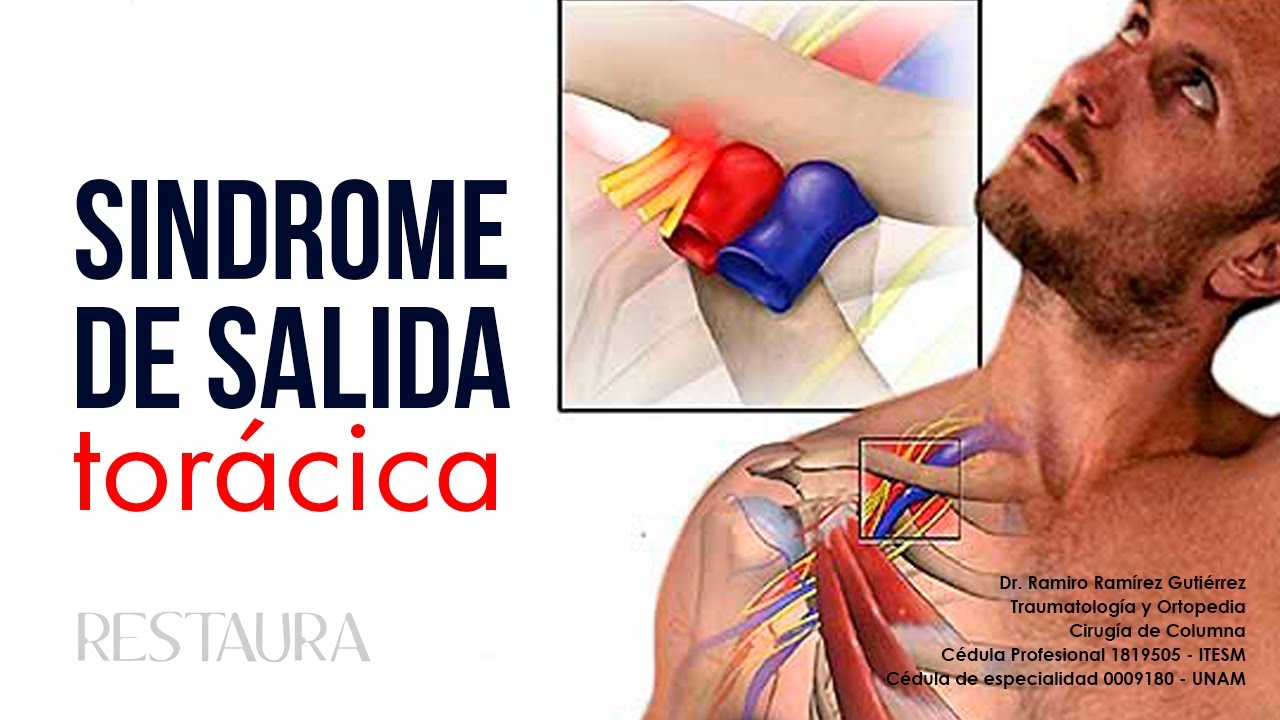 Anatomía Del Desfiladero Torácico