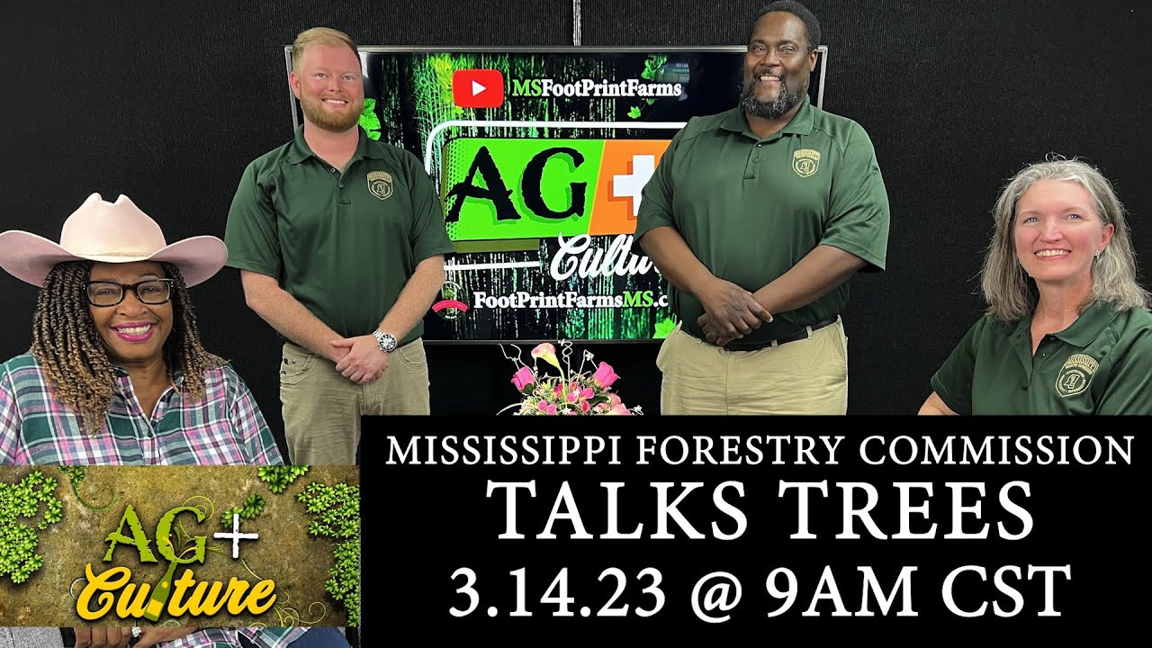 AG + CULTURE S2: E11| MS FORESTRY COMMISSION | ALL ABOUT GROWING TREES ...