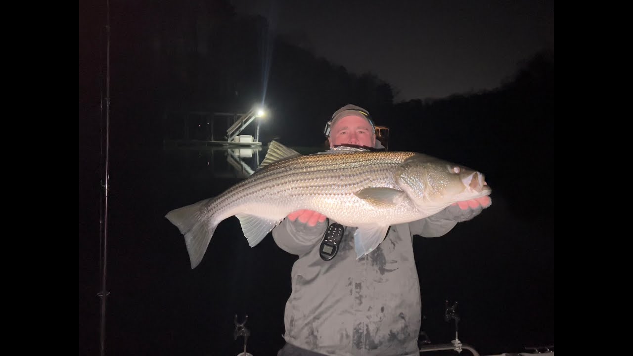 After dark Lake Lanier Striped Bass Fishing on a cold January night ...