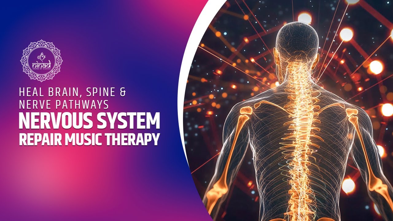 Nervous System Repair Music Therapy - Heal Brain, Spine & Nerve ...