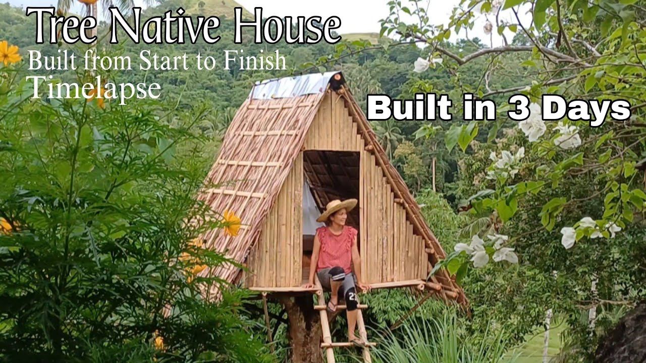 Tree Native House Worth 2,000 Pesos in Philippines Built in 3 Days from ...