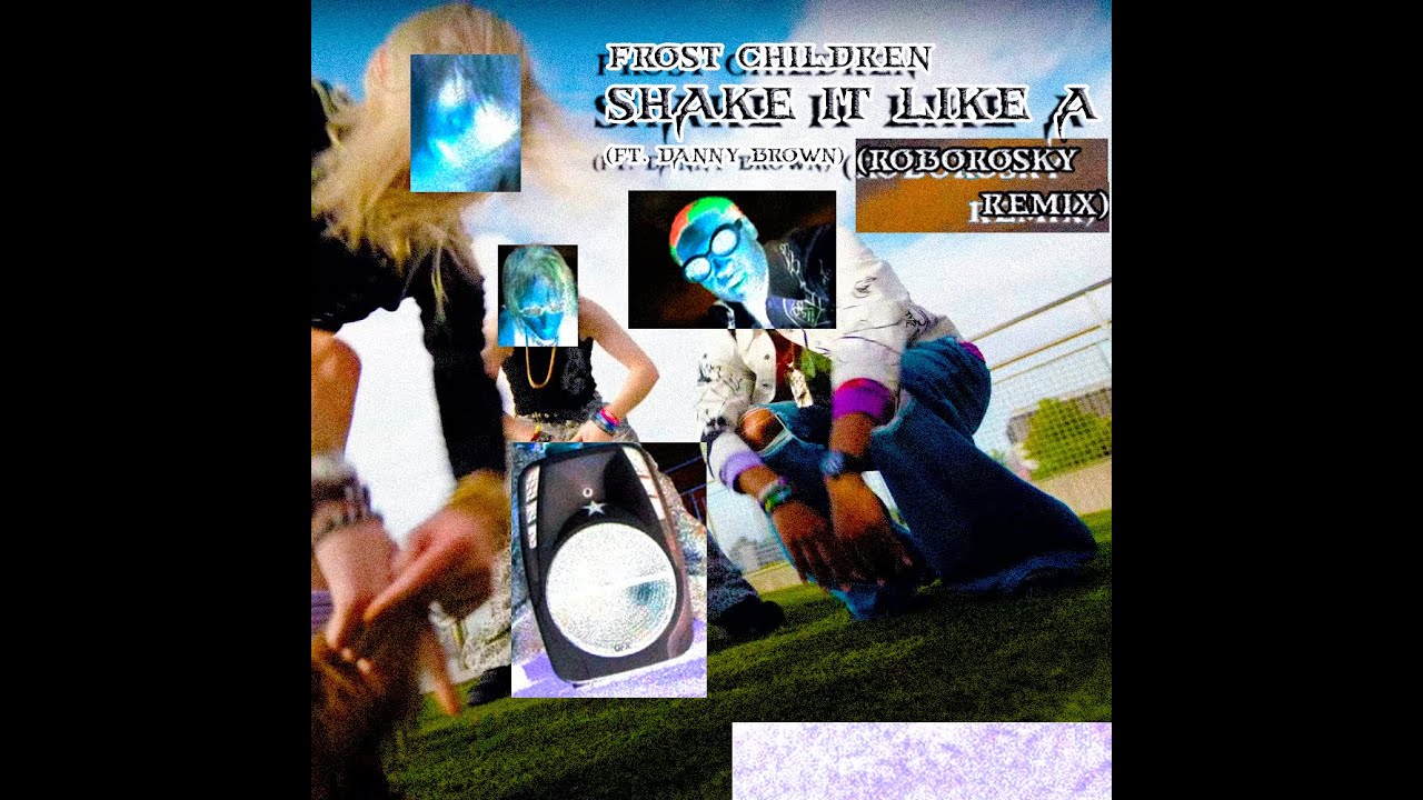 Frost Children - Shake It Like A (ft. Danny Brown) (ROBOROSKY REMIX ...