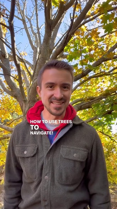 How to use Trees to Navigate! (The effect is flipped in the southern hemisphere) #naturalist # ...