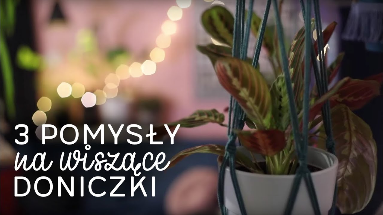 3 pomysły na WISZĄCE doniczki 🌱 DIY - YouTube