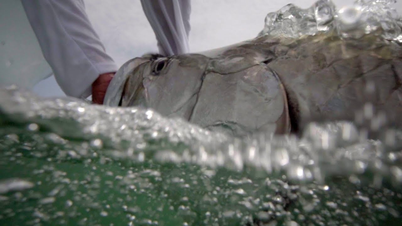 Silver Rush - YouTube