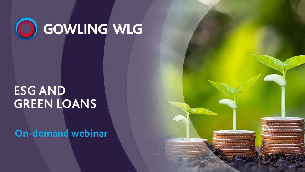 Environment, Social and Governance (ESG) and Green Loans - YouTube