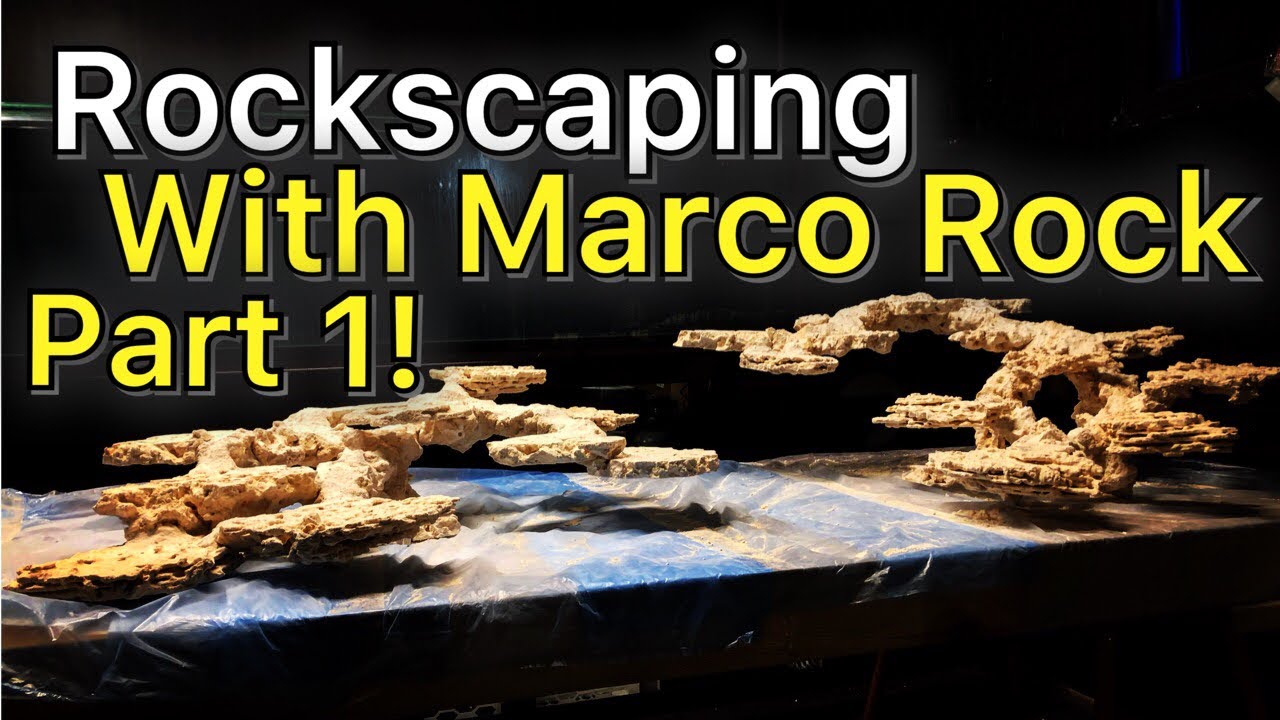 How to Rockscape using Marco Rock and INSTANT HOLD AQUASCAPING GLUE ...