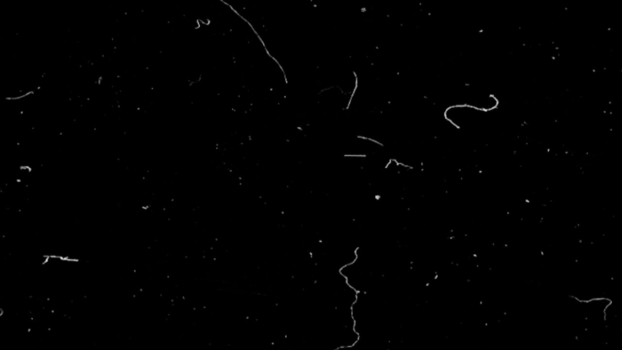 Grains Dust Grunge Overlay | 4K Film Grain Texture & Dust Effects for ...