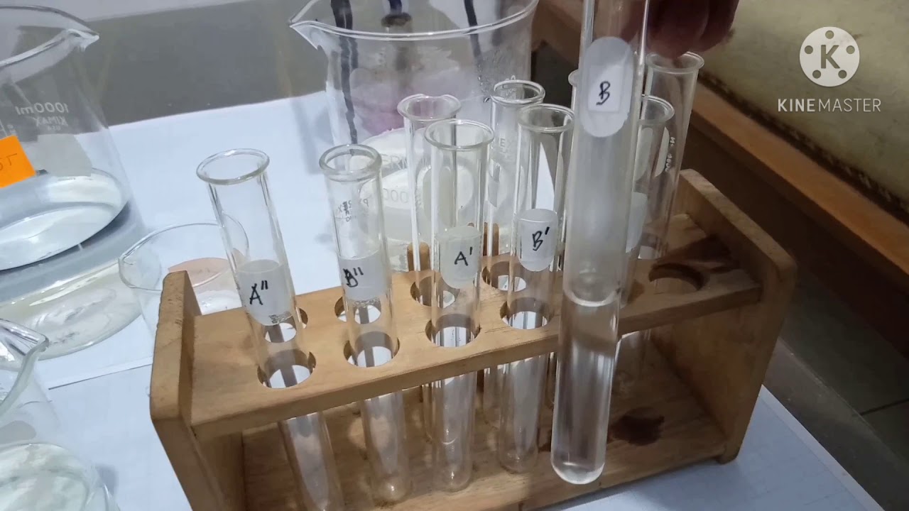 Praktikum aktivitas enzim ptialin/ amilase ( uji glukosa dan uji amilum ...