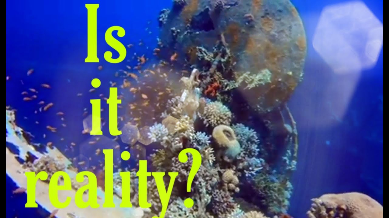 Inside view of ocean - YouTube