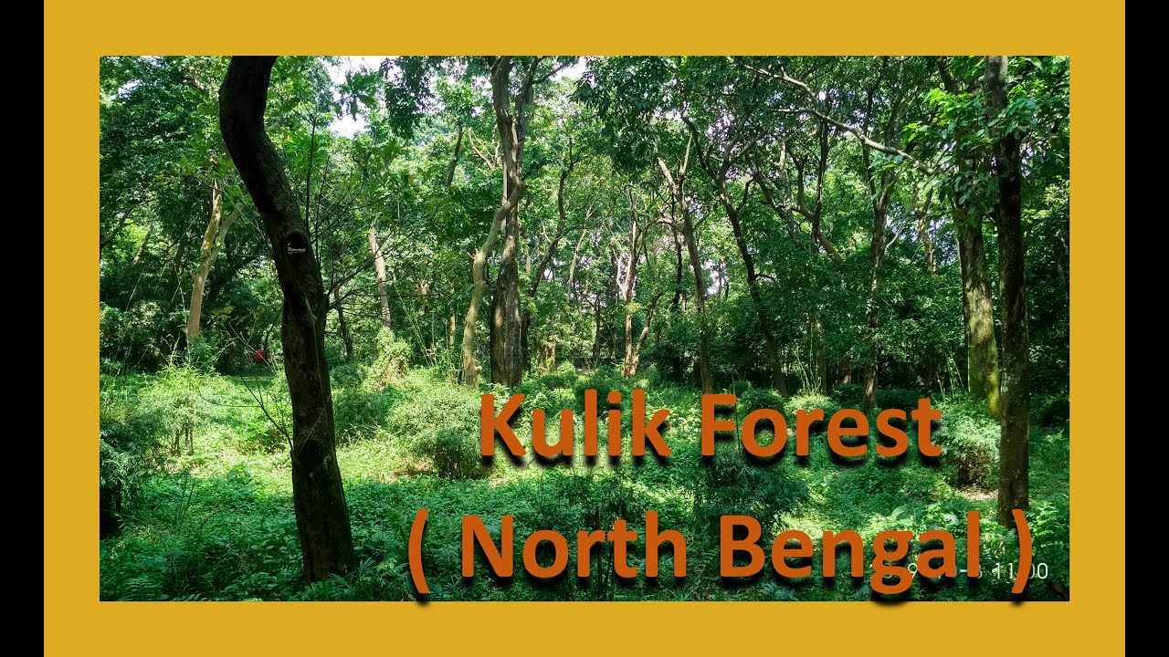 Kulik Forest | Kulik Bird Sanctuary | Raiganj Wildlife Sanctuary ...
