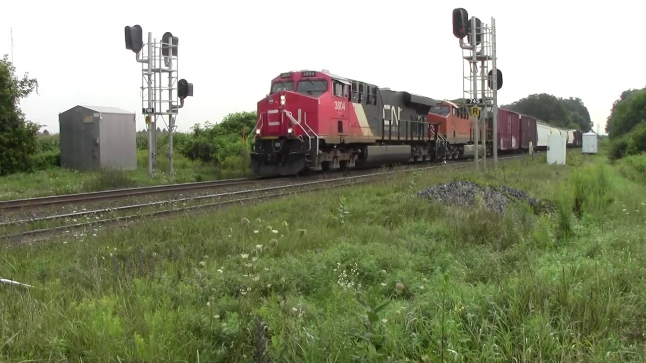 Cn 397 Cn 3804 BNSF 6595 at Pulham Rd August 20 2018 - YouTube