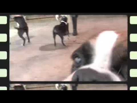 Week of Oct. 5, 2009 - YouTube