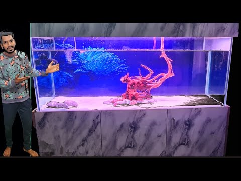 My monster 5ft fish tank is ready||🥰🤑😚||community tank with imported ...