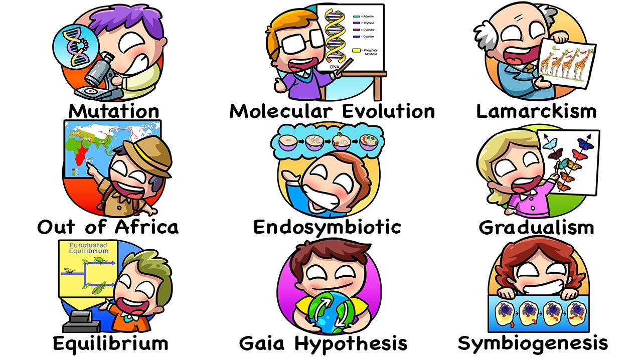 Every World Evolution Theory Explained in 17 Minutes - YouTube