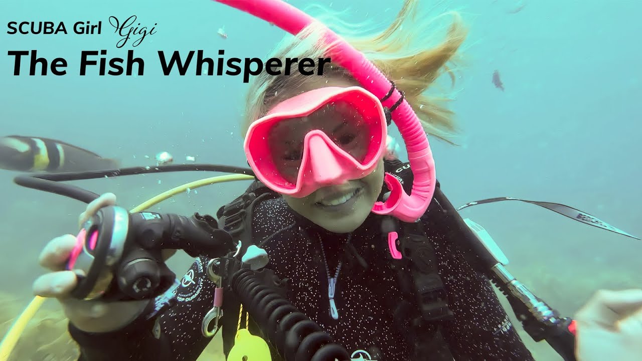 Gigi The Fish Whisperer. #scuba #scubadiving #underwater #mermaid # ...