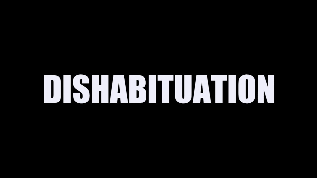 Dishabituation - YouTube