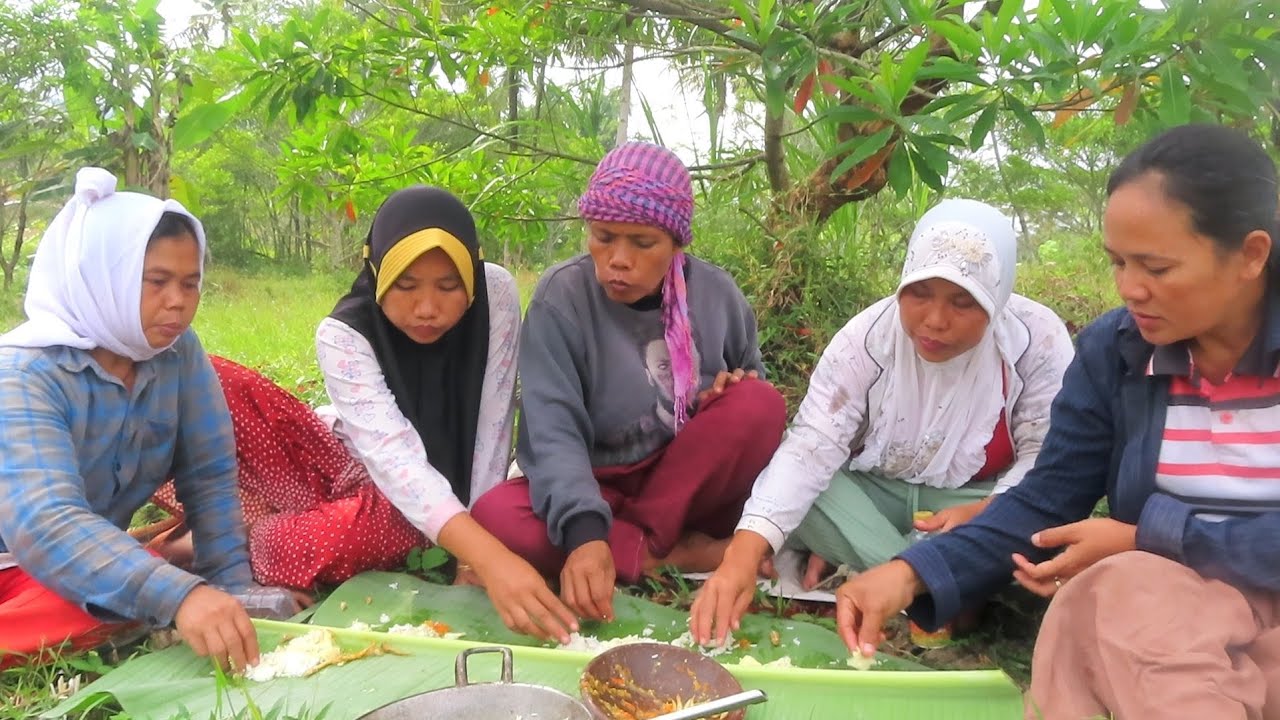 CARA KAMI CARI RUMPUT DI MUSIM KEMARAU|| MASAK POHON JAMBE - YouTube