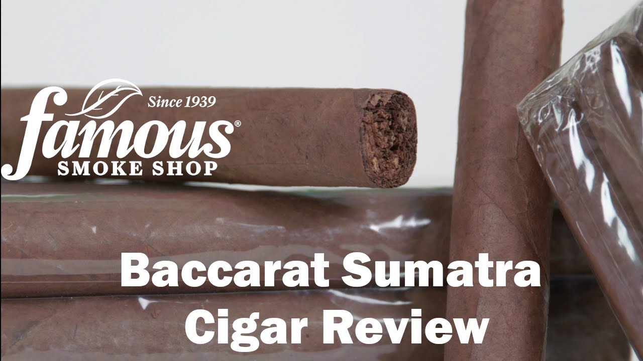 Baccarat Sumatra Cigars Review - Famous Smoke Shop - YouTube
