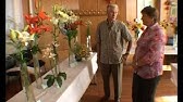 Сад и огород. Лилии, ЛА гибриды, восточные - YouTube