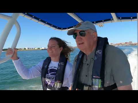 Boston Whaler Dauntless 18 for Sale