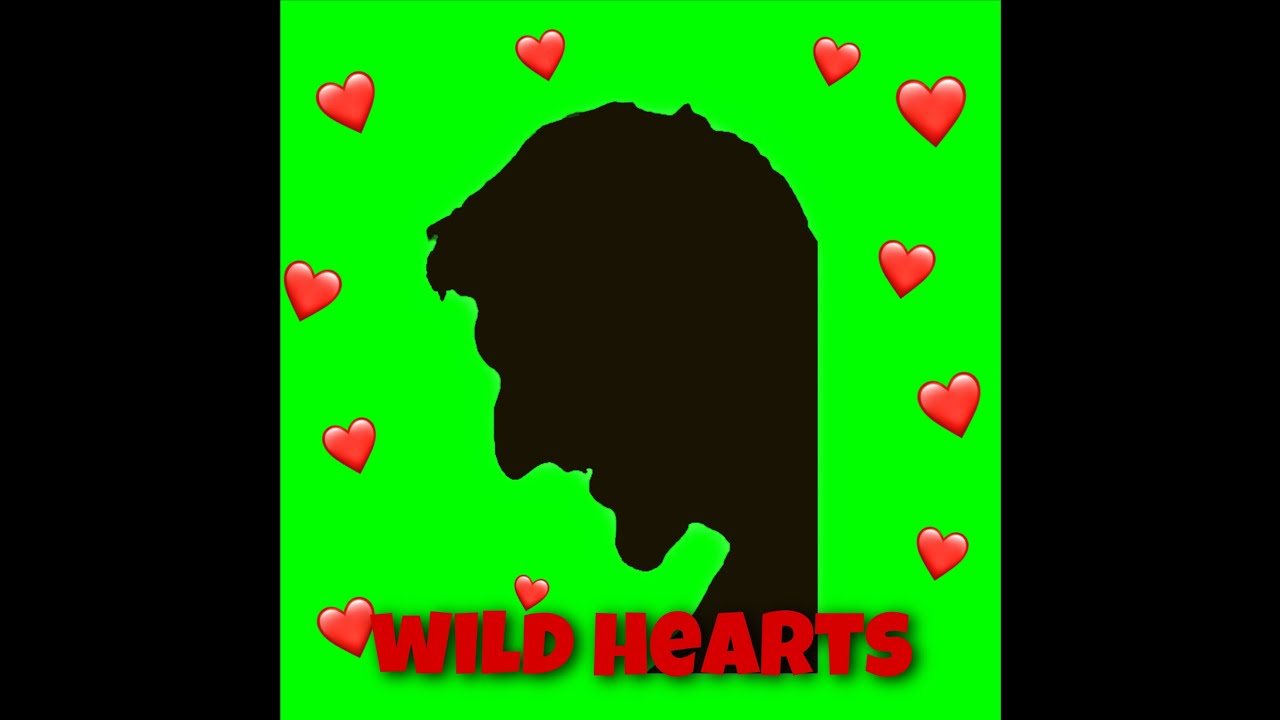 Daniel Larson - Wild Hearts (Official Audio) - YouTube