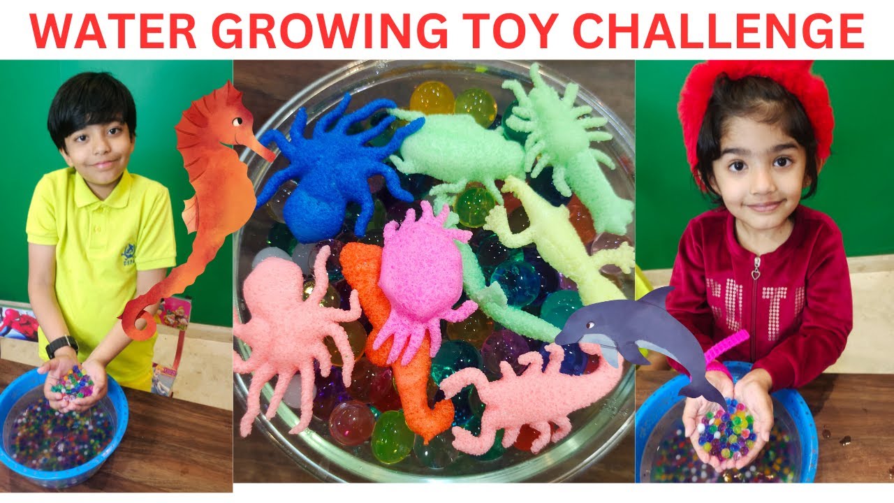 water Growing Toys | GIANT GROWING CROCODILE TOYS FOR KIDS | XXL ...