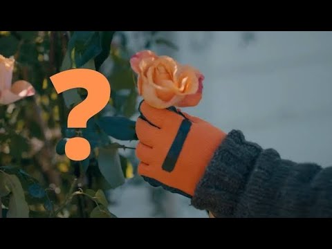Çukur Nedimin Buluştuğu Adam İşte Bu