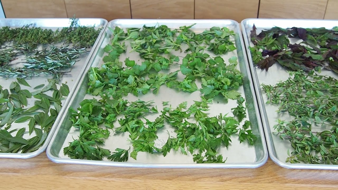 Mezclas de Hierbas finas - YouTube