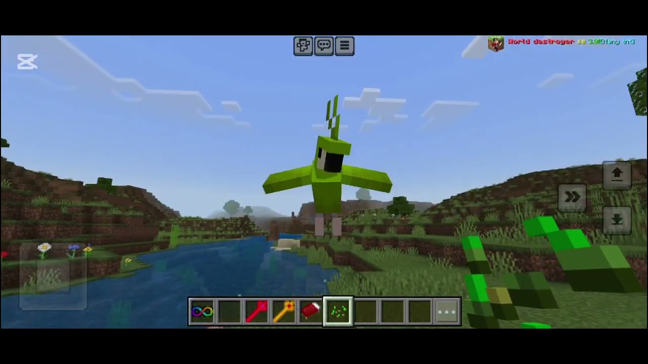 Parrot and Steve Became Friends - YouTube