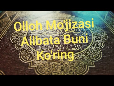 Olloh Mo'jizasi Allbata Buni Ko'ring