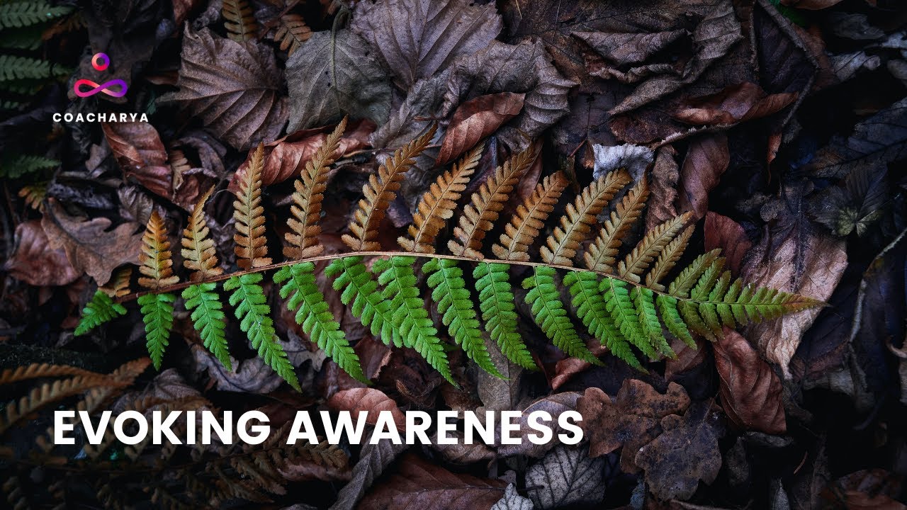 Coaching Colloquium Series - Evoking Awareness - YouTube