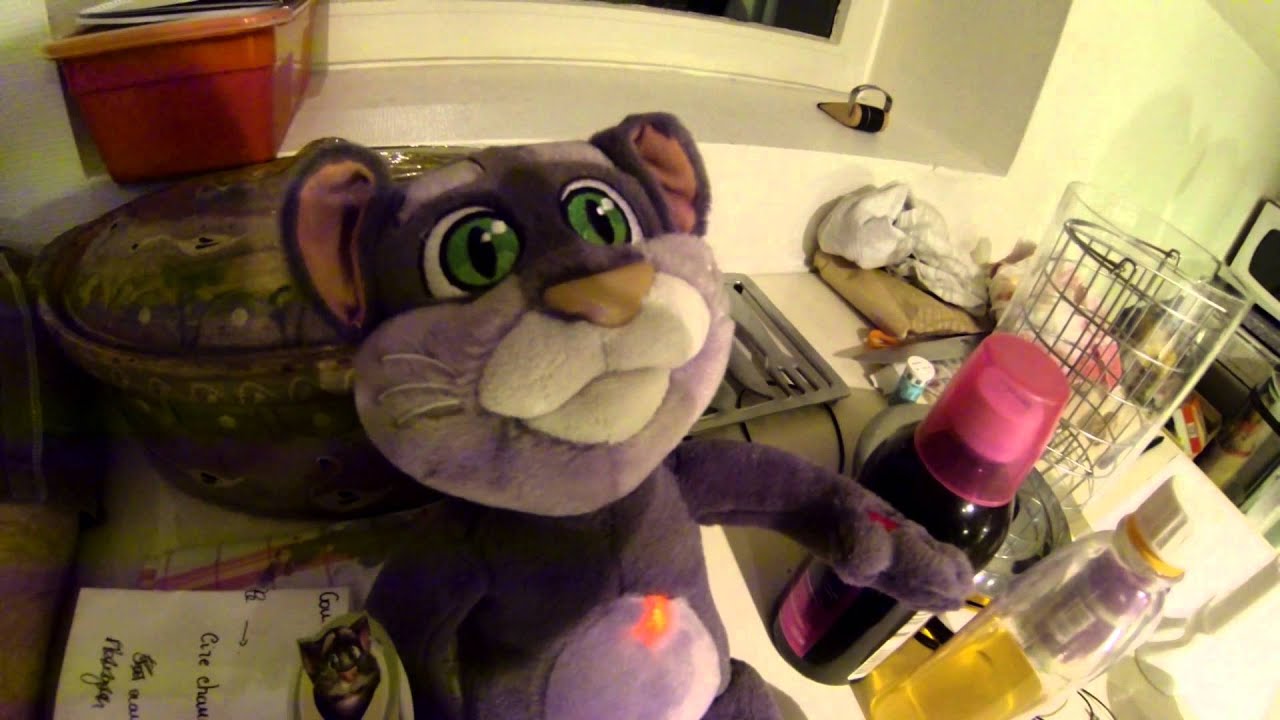 Talking Tom Cat in real world - YouTube