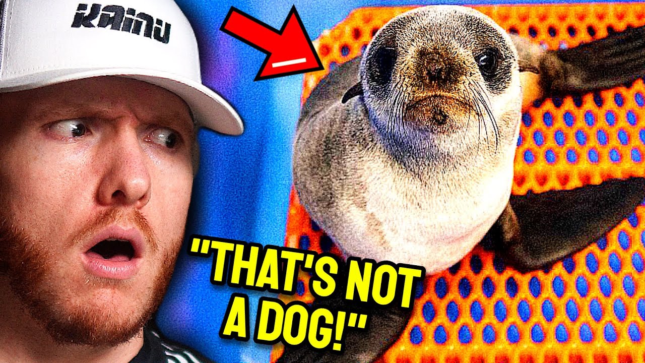 RANDOM Memes YOU Don't WANT to MISS! - YouTube