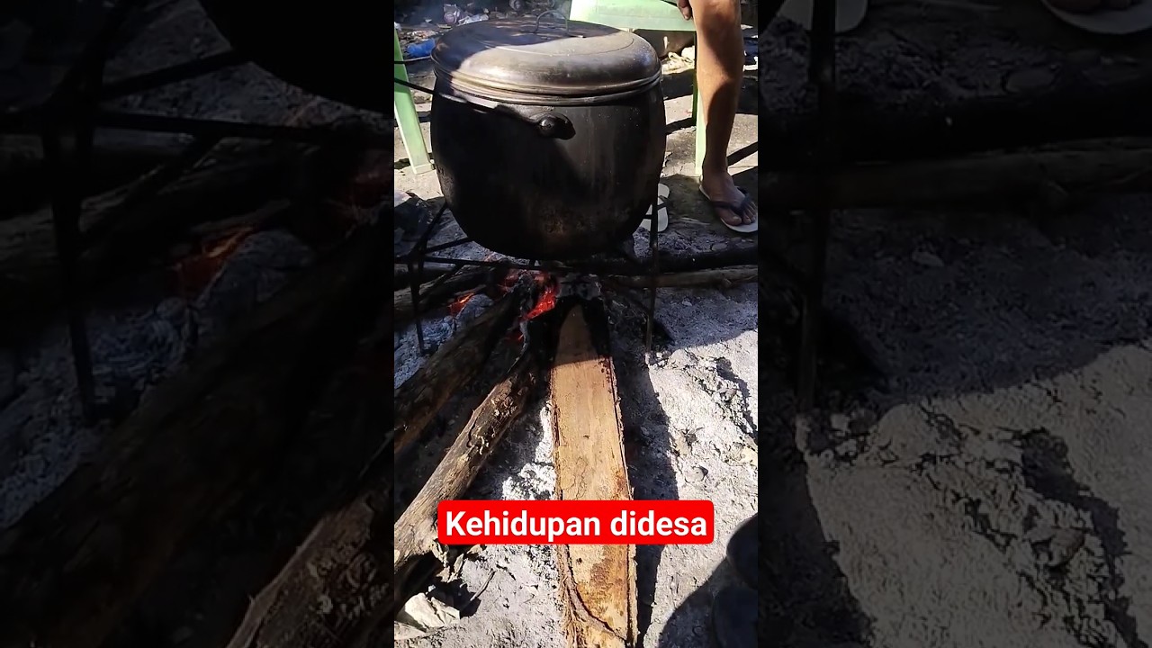 Kehidupan di desa - YouTube