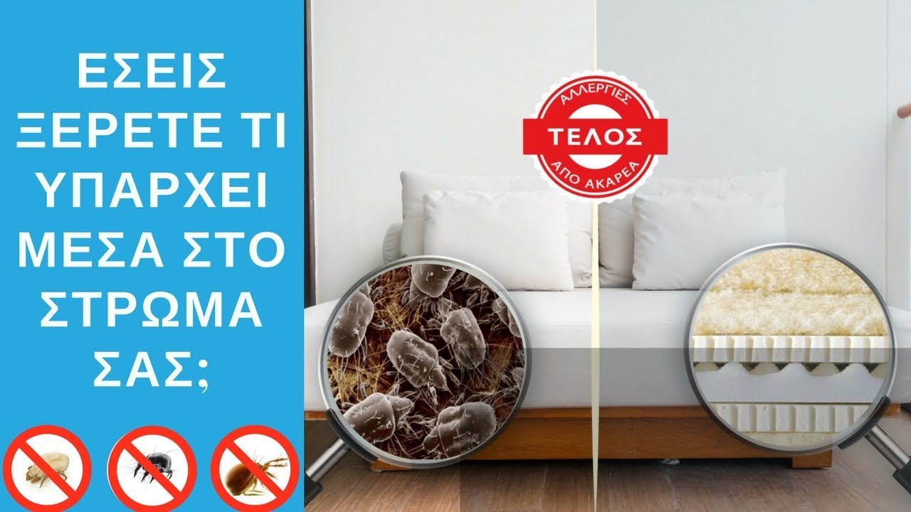 Καθαρισμός στρώματος από ακάρεα από την BioClean Hellas! (Βιολογικός ...